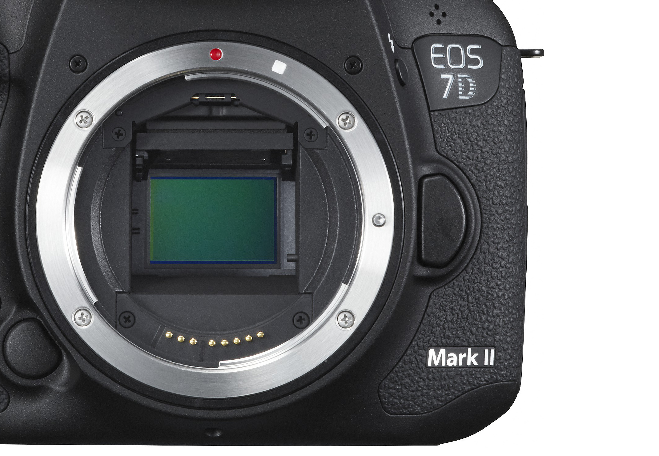 Canon EOS 7D Mark II Preview - Tweakers