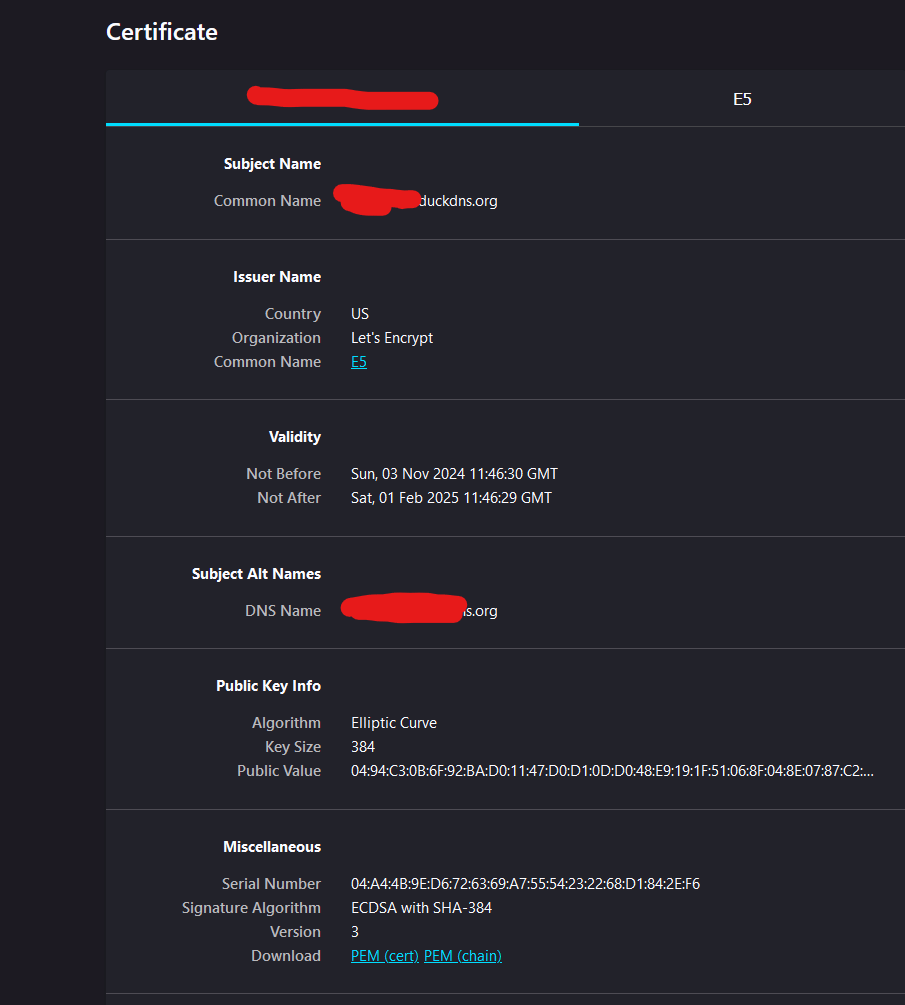 Remote access HA via DuckDNS - Smarthome - GoT