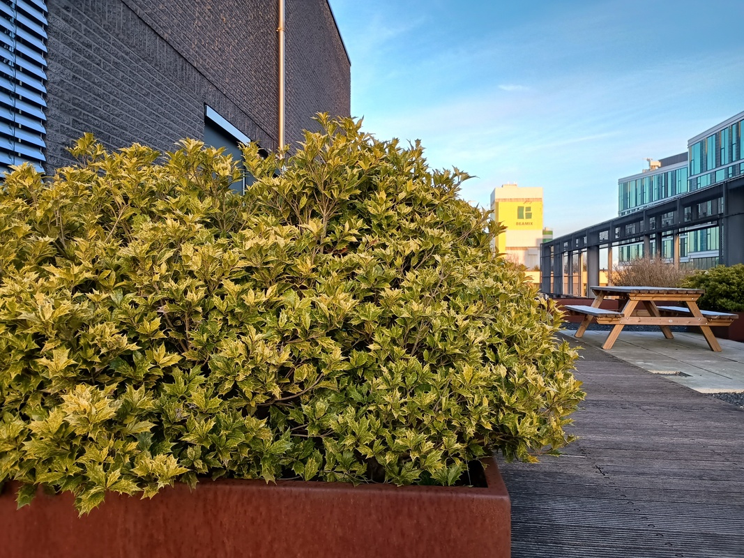 Moto G05, G15, G15 Power, G35, G55 en G85 Round-up - Tweakers