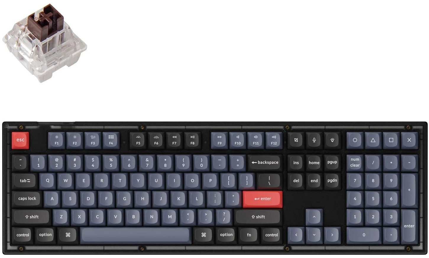 Keychron V6 QMK, RGB, Keychron K Pro Brown, Qwerty US, Frosted Black ...