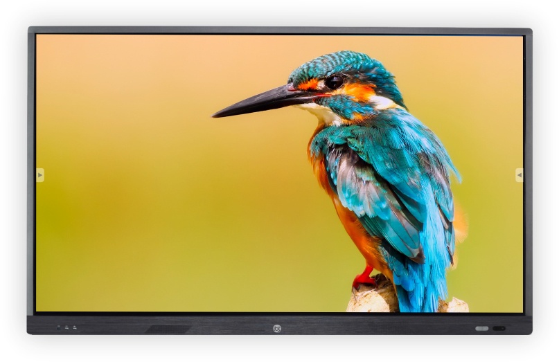 iBoardTouch Es 55 Grijs - Kenmerken - Tweakers