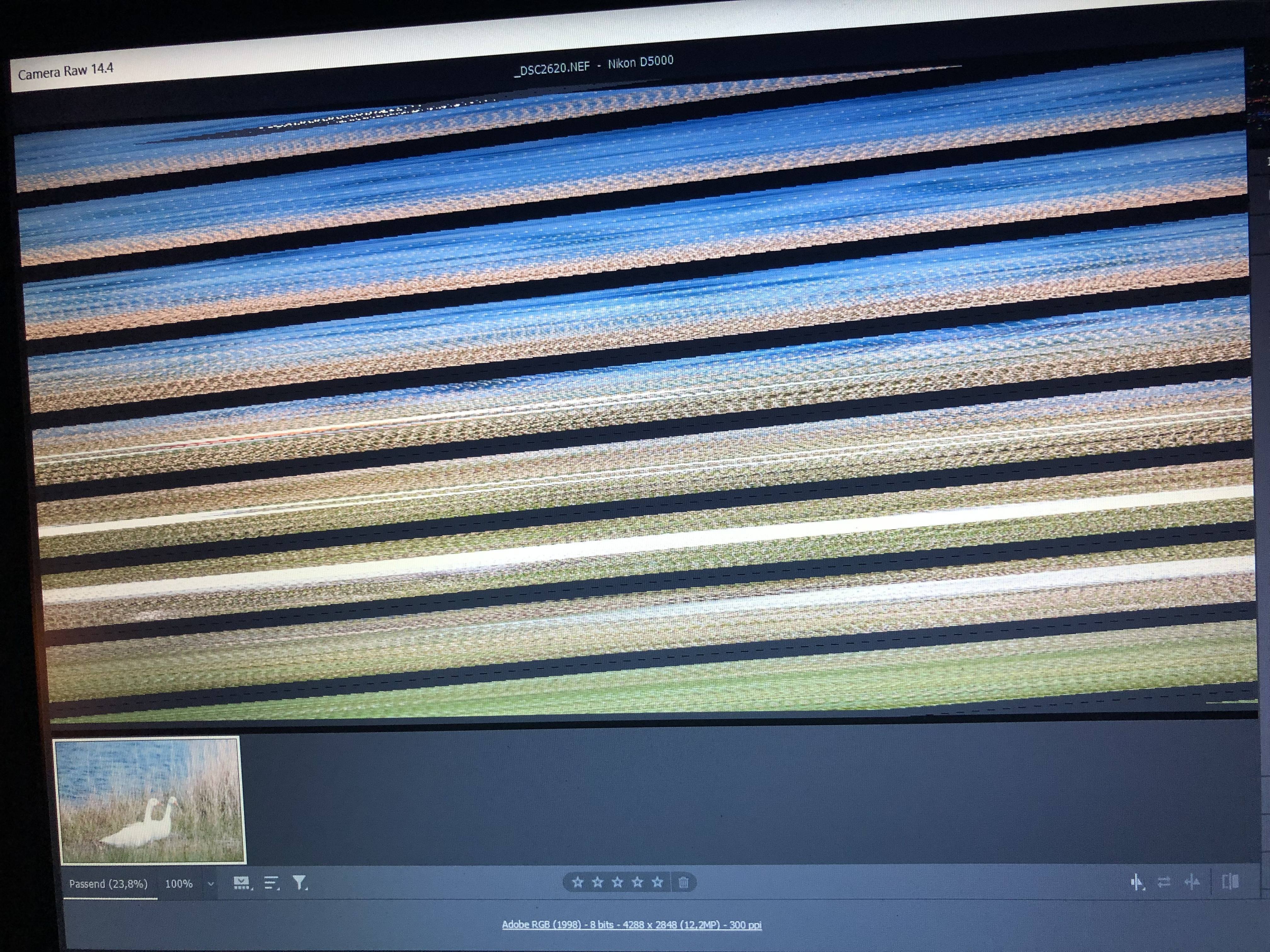 Camera Raw, foto foutief weergegeven - Workflow, beeldbewerking en ...