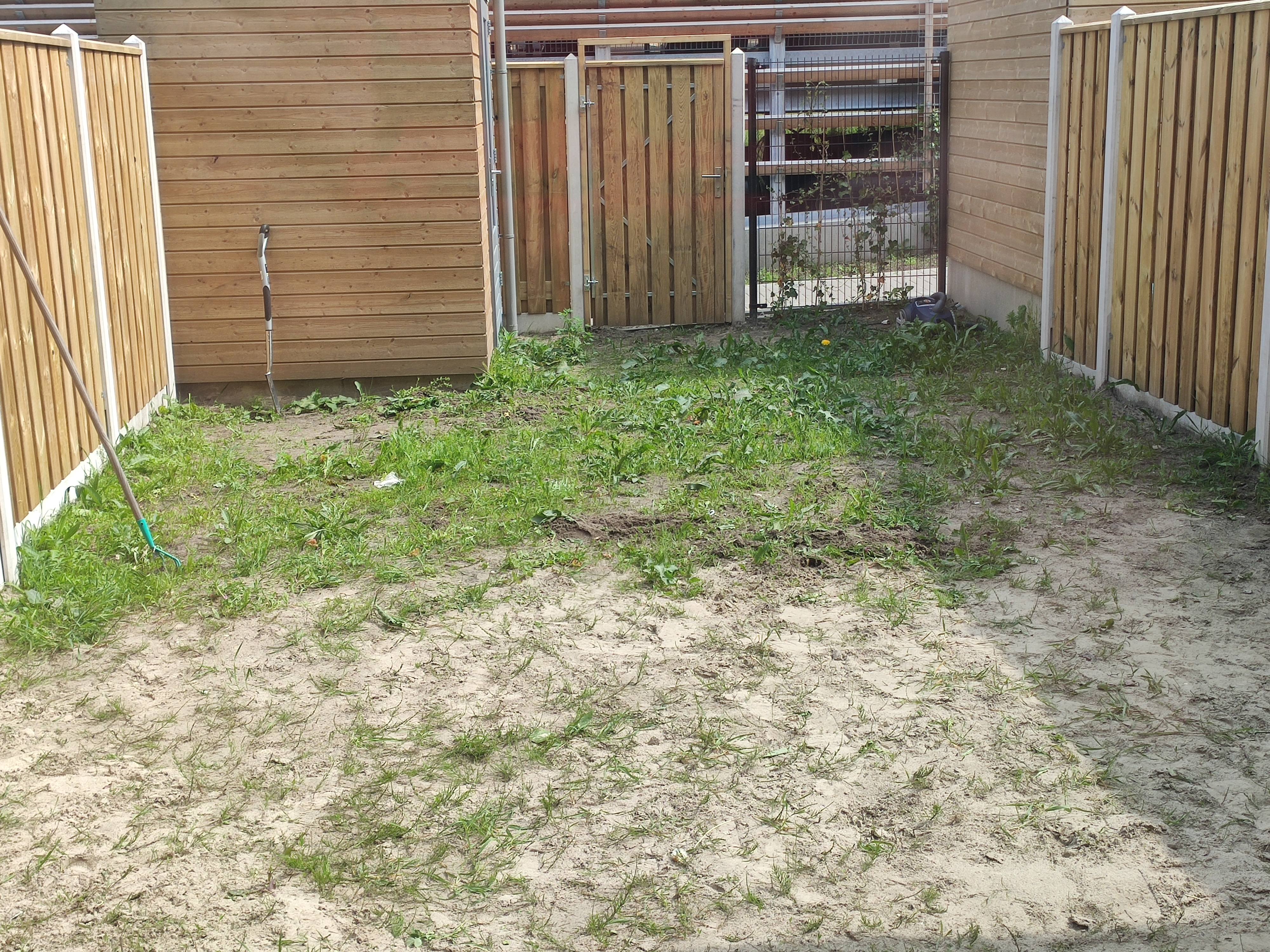 Onkruid: kale tuin, veel onkruid - Bouwen en klussen - GoT