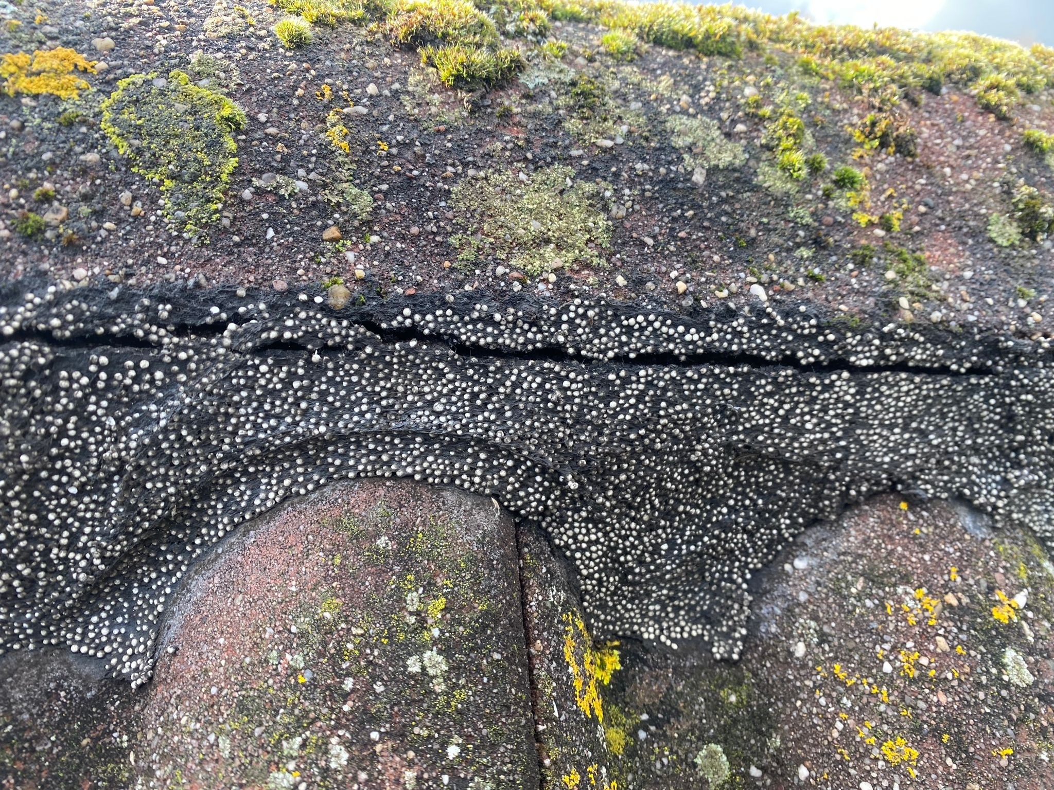 Lekkage nok. Flexim smeren verwijderen, nokrol tegen vocht? - Bouwen en ...