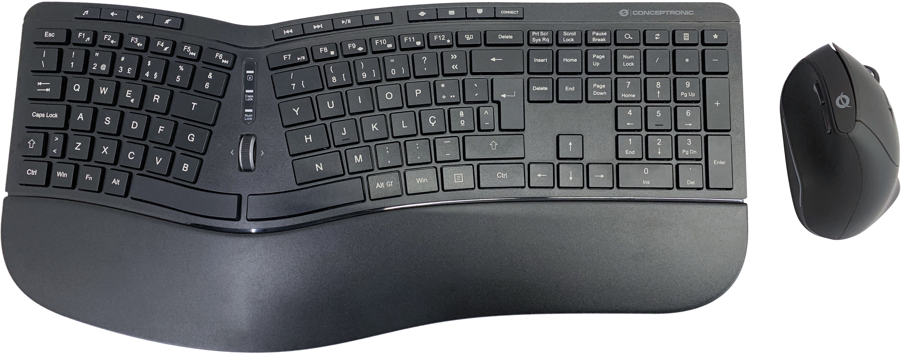 Conceptronic Wireless Ergonomic Keyboard & Mouse Kit (Qwerty PT): beste ...