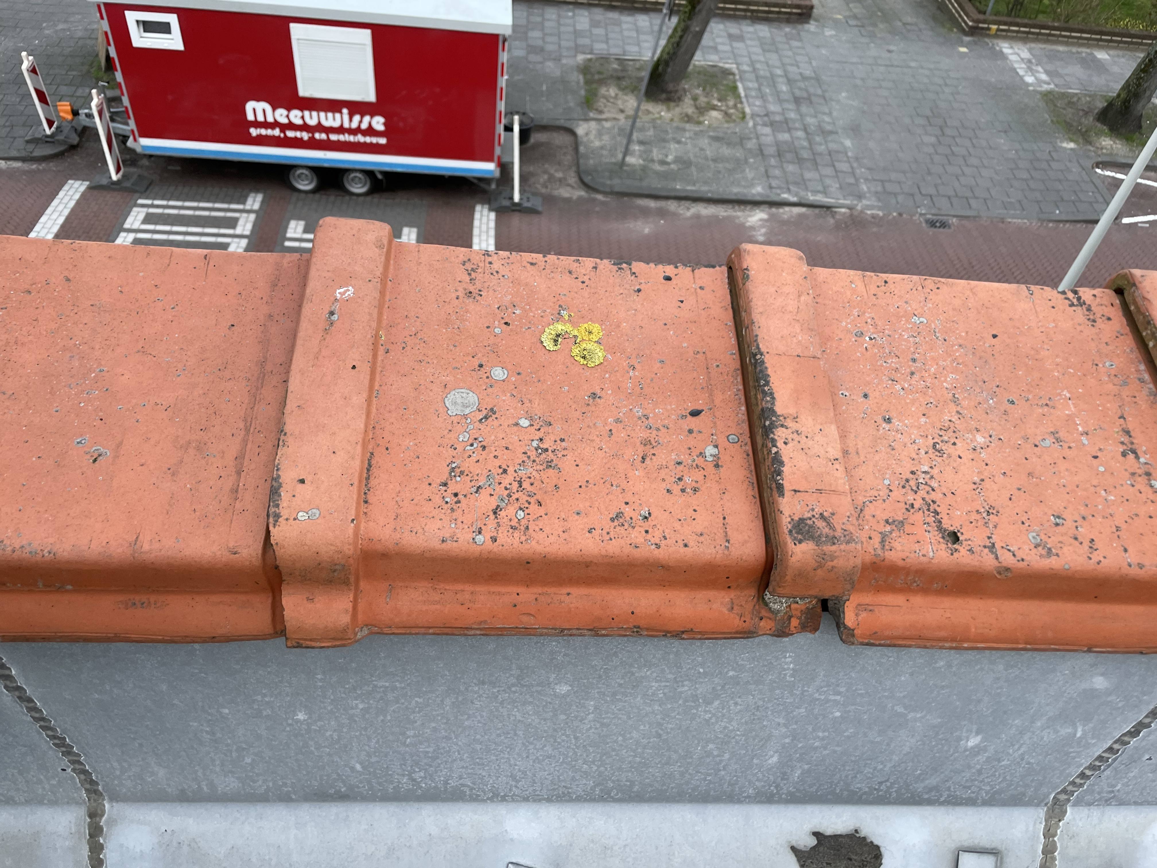 Type dakpan - Bouwen en klussen - GoT
