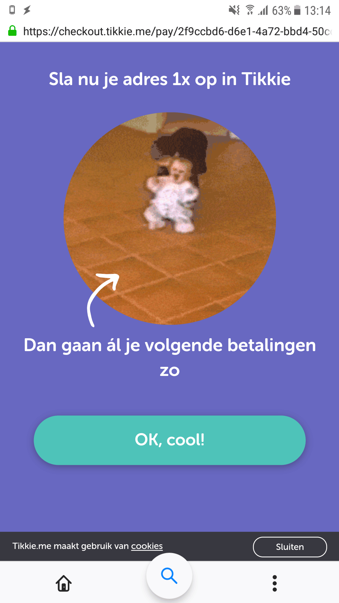 Webwinkels kunnen ABN Amro's app Tikkie als betaaloptie aanbieden ...