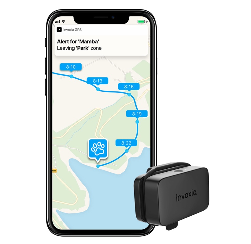 Pet Tracker van Invoxia volgt je huisdier op de voet via Sigfox-netwerk ...