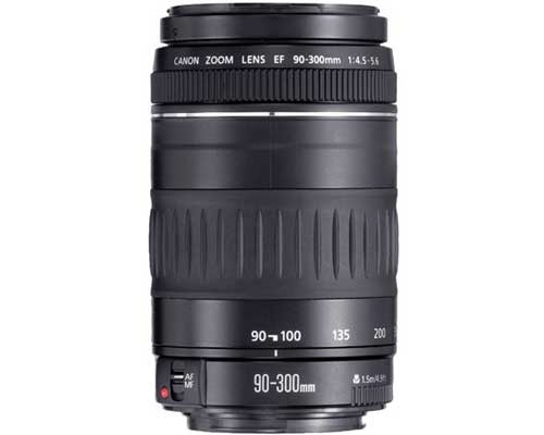 Canon EF 90-300mm f/4.5-5.6 USM: beste prijs - Tweakers