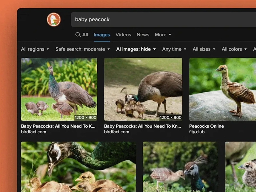 DuckDuckGo introduceert filter om AI-afbeeldingen te verbergen - Tweakers