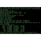 Software-update: Linux Kernel 2.6.6 - Computer - Downloads - Tweakers