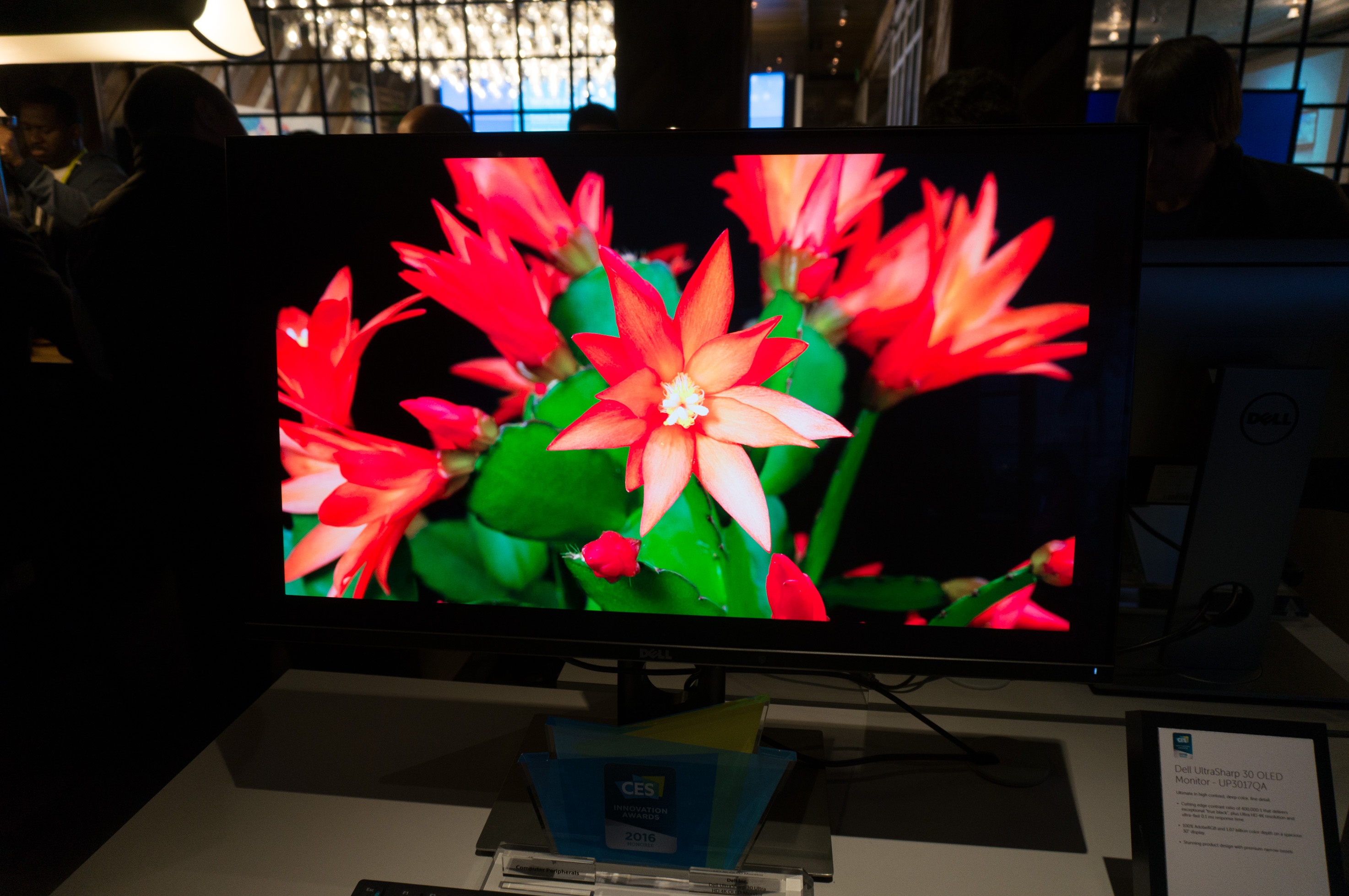 Dell heeft introductie oledmonitor met 4k-resolutie geschrapt ...
